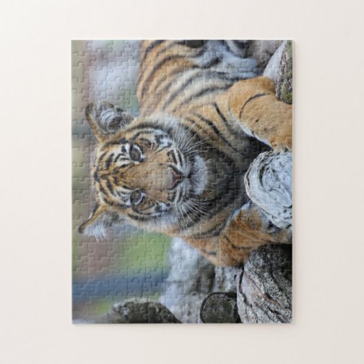 Tiger Cub Jigsaw Puzzle | Zazzle