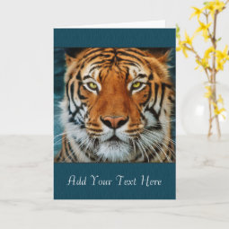 Tiger Custom Text Card | Zazzle