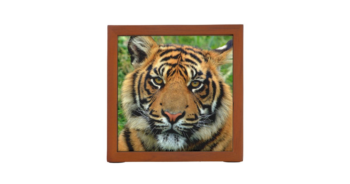Tiger Desk Organizer | Zazzle