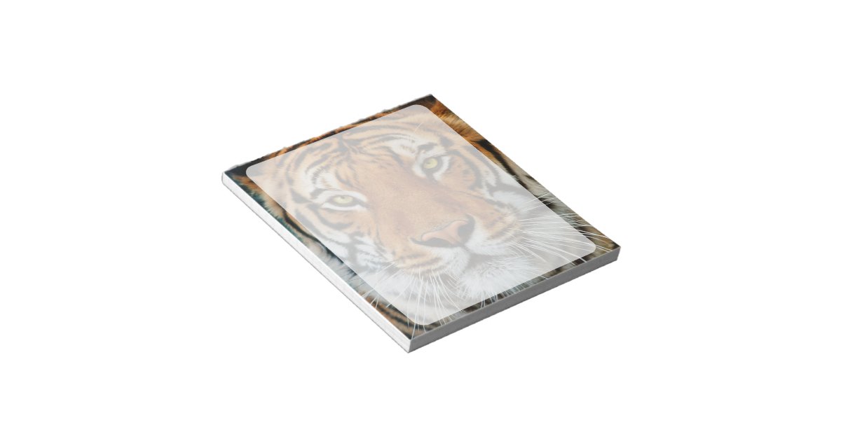 Tiger Face Photograph Notepad | Zazzle