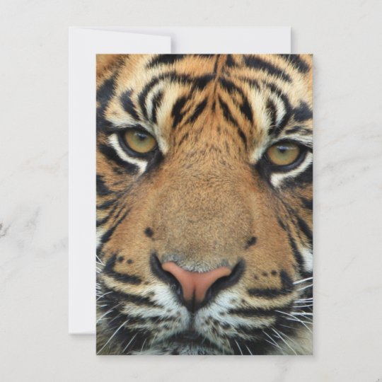 Tiger Face Thank You Card | Zazzle.com