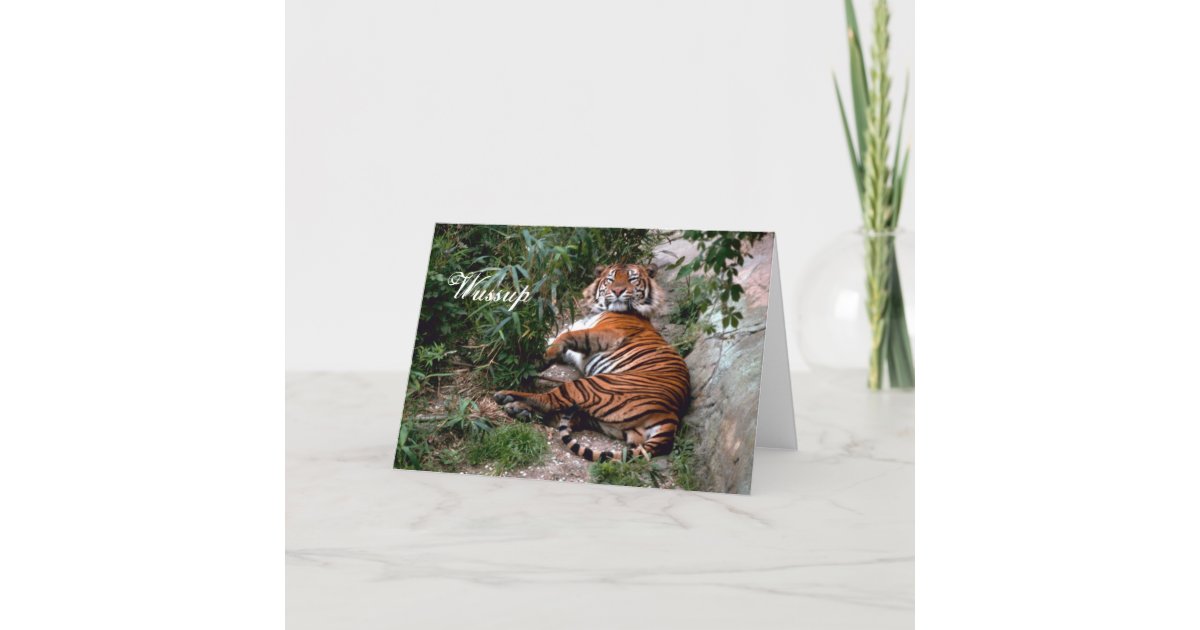 Tiger Greeting Card | Zazzle