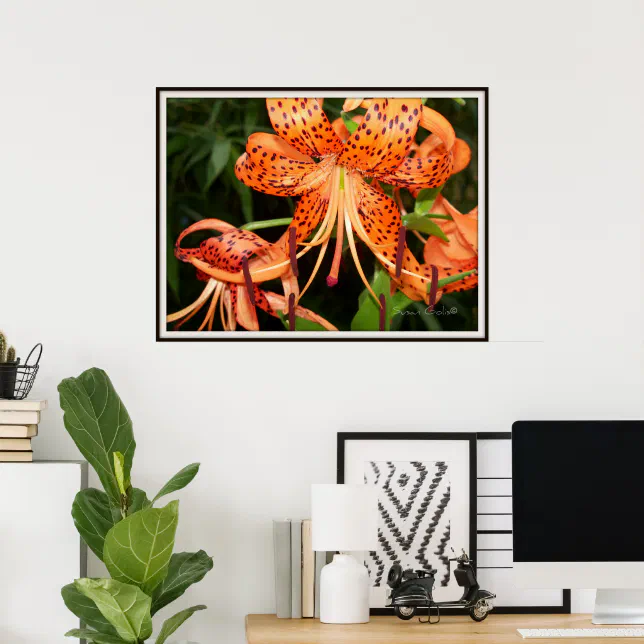 Tiger Lily Flower Garden Poster | Zazzle