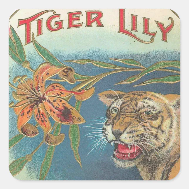 Tiger Lily Square Sticker | Zazzle