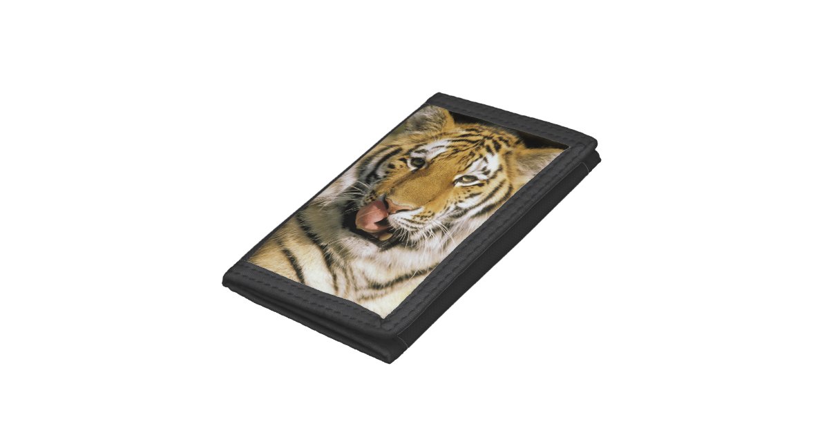 Tiger Michigan Zoo Trifold Wallet | Zazzle