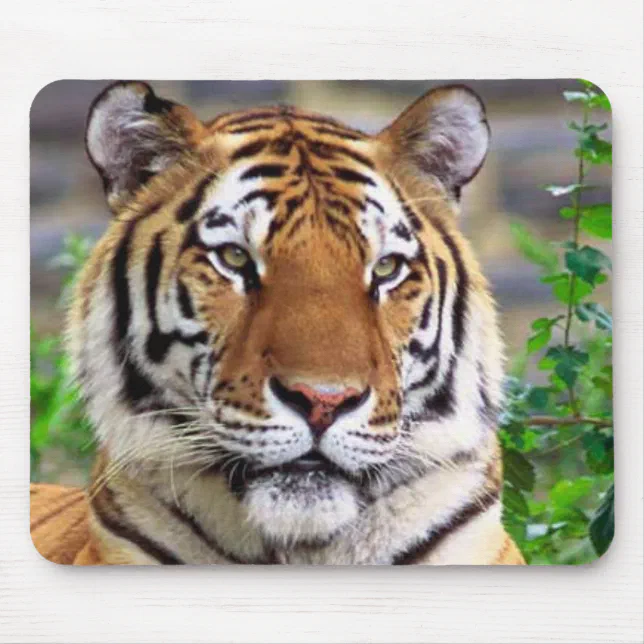 Tiger Mouse Pad | Zazzle