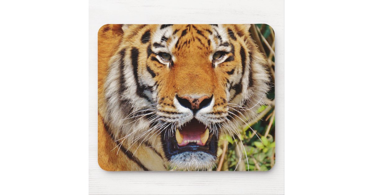 Tiger Mouse Pad | Zazzle