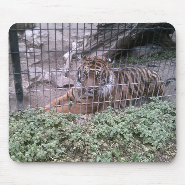 Tiger Mouse Pad | Zazzle