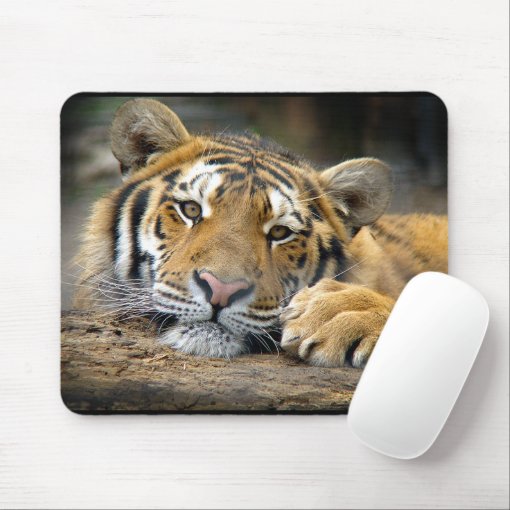 Tiger Mousepad | Zazzle