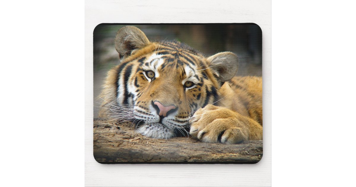 Tiger Mousepad | Zazzle