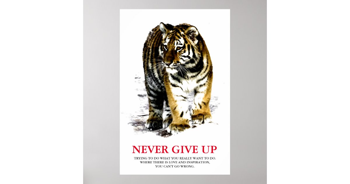 Tiger Never Give Up Motivational Poster | Zazzle