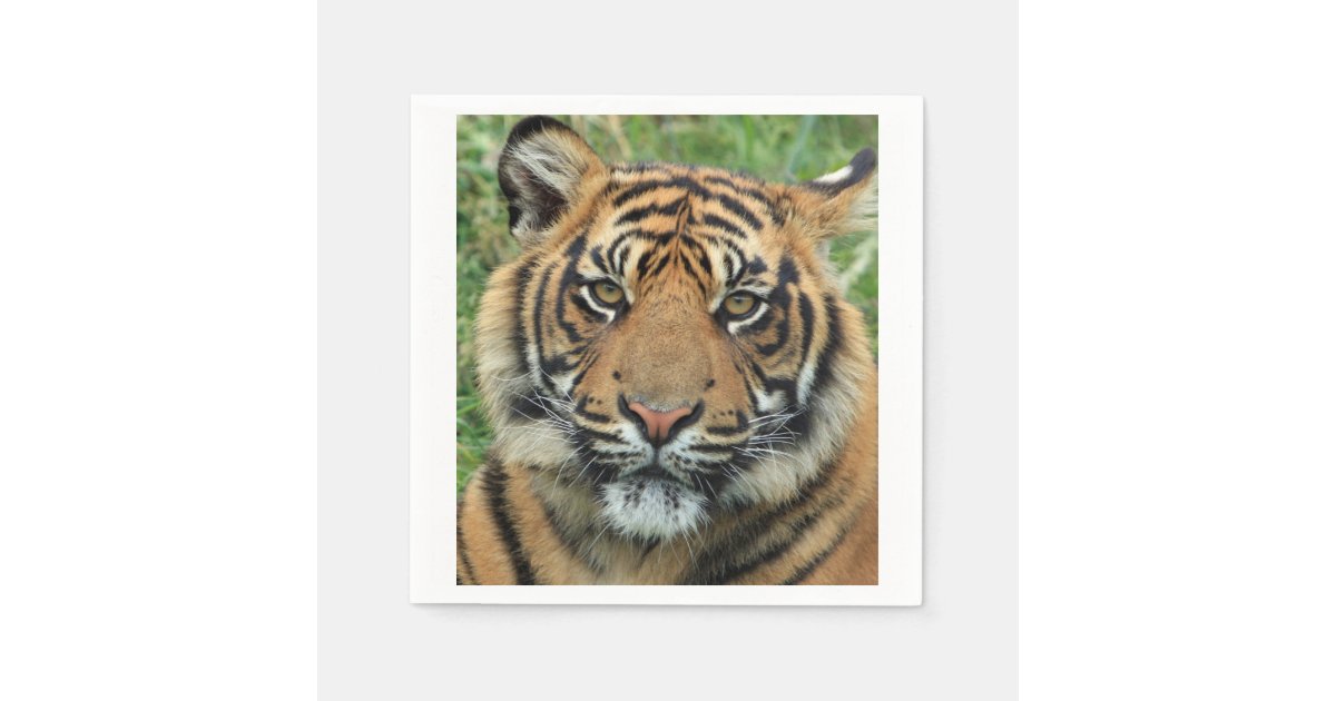 Tiger Paper Napkins | Zazzle