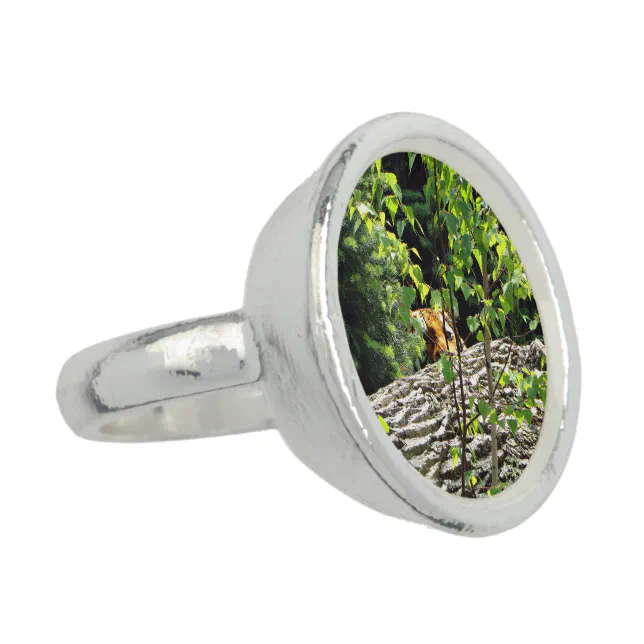 Tiger Peek-a-boo Ring | Zazzle