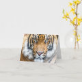 Tiger Personalized Name Happy Birthday Card | Zazzle