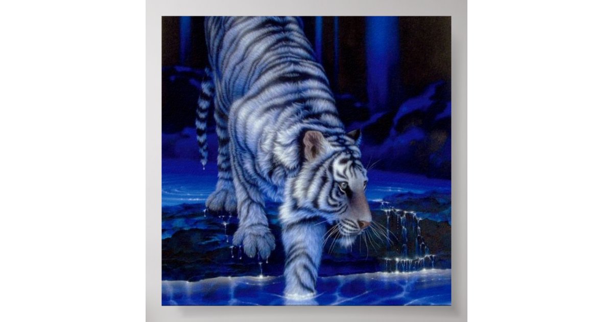 Tiger Poster | Zazzle