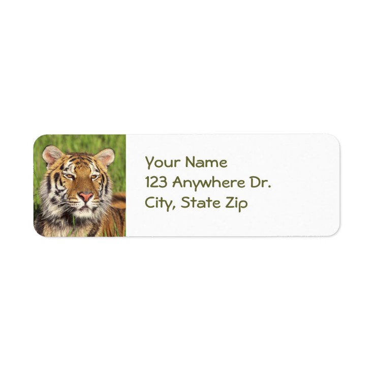 Tiger Return Labels | Zazzle