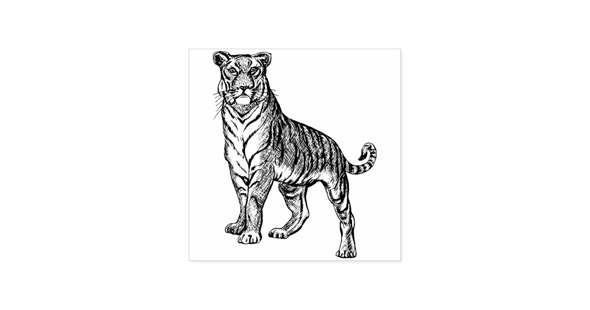 Tiger rubber stamp | Zazzle