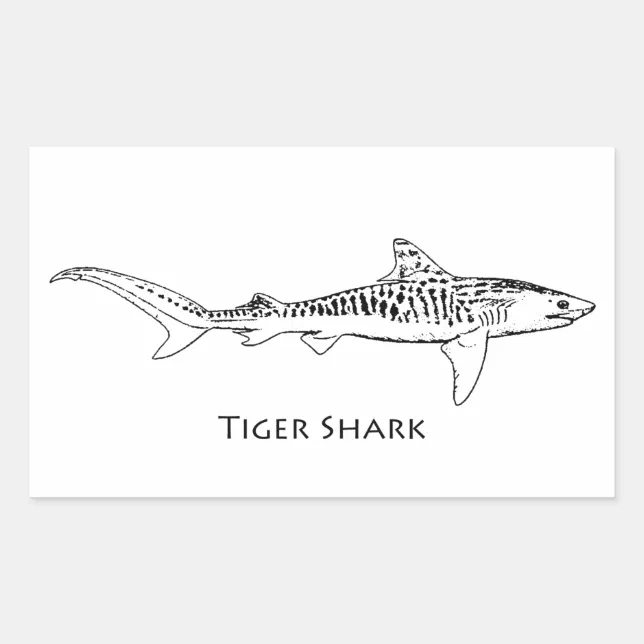 Tiger Shark Illustration Rectangular Sticker | Zazzle