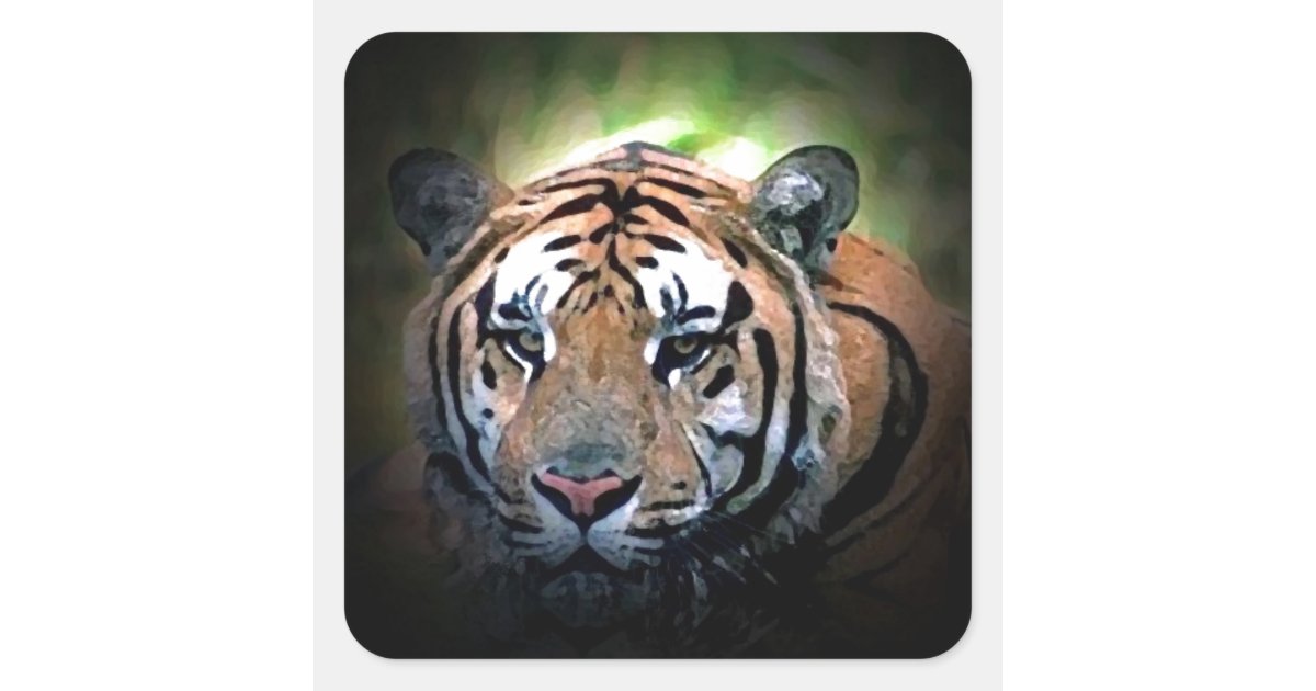 Tiger Square Sticker | Zazzle