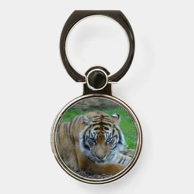 Tiger Stare Phone Ring Stand | Zazzle