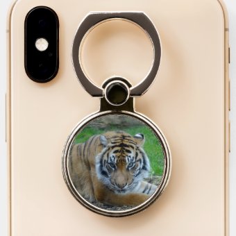 Tiger Stare Phone Ring Stand | Zazzle