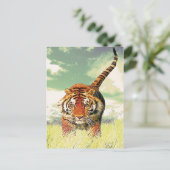 Tiger Tiger! Postcard | Zazzle
