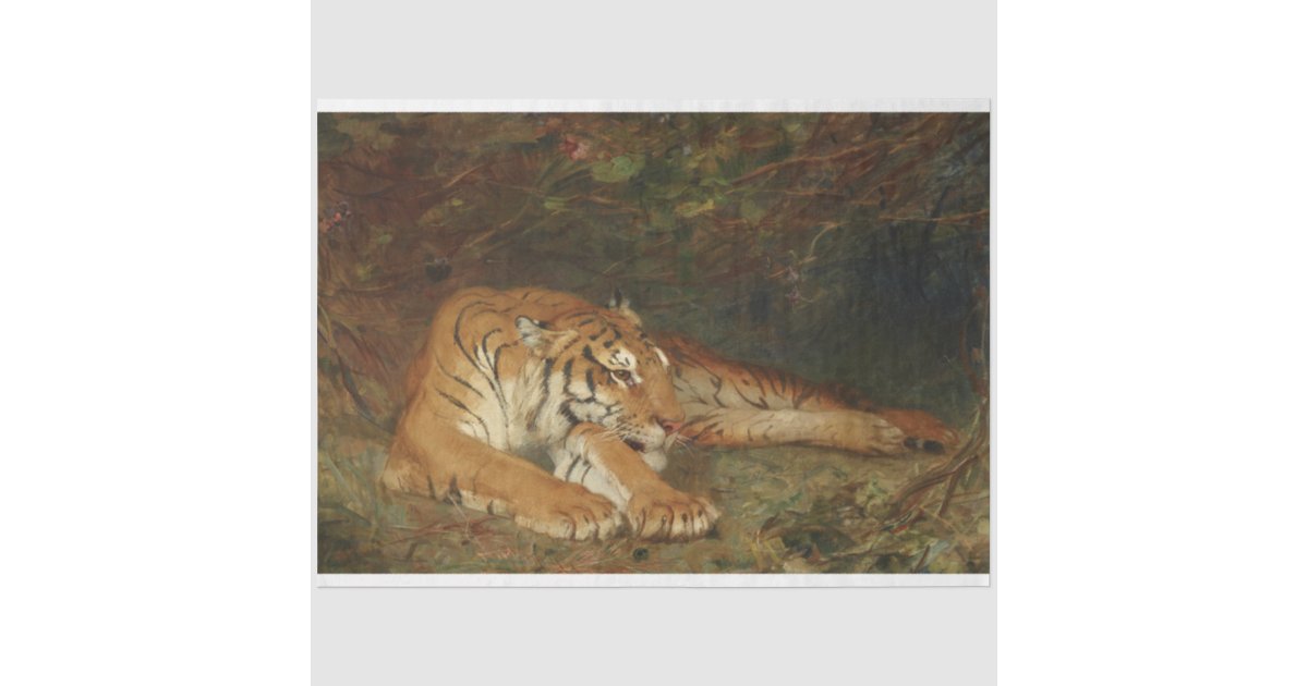 Tiger Tigers At Rest Artwork Art Decoupage Tissue Paper | Zazzle