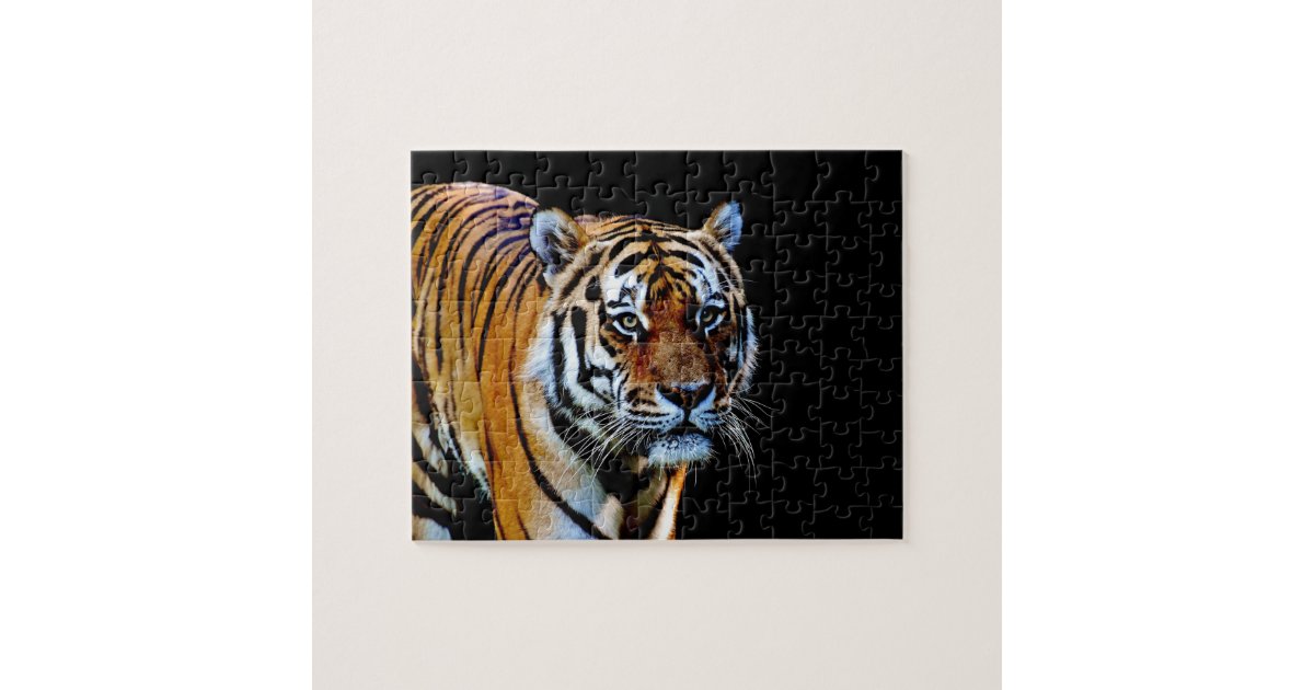 Tiger With Black Background Jigsaw Puzzle | Zazzle
