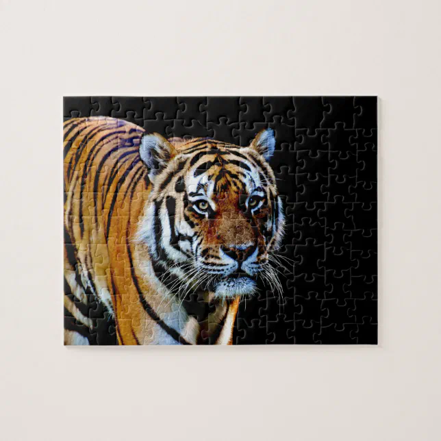 Tiger With Black Background Jigsaw Puzzle | Zazzle