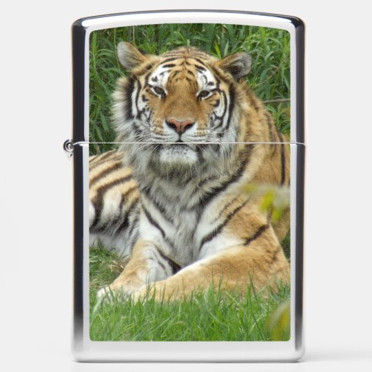 Tiger Zippo Lighter | Zazzle.com