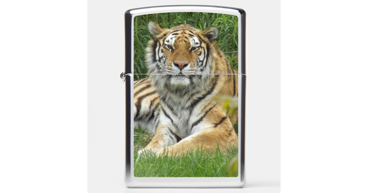 Tiger Zippo Lighter | Zazzle