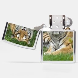 Tiger Zippo Lighter | Zazzle