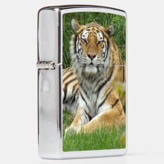Tiger Zippo Lighter | Zazzle