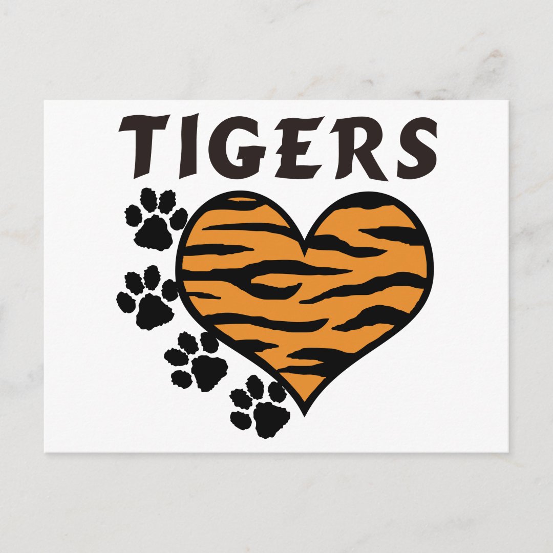 Tigers Postcard | Zazzle