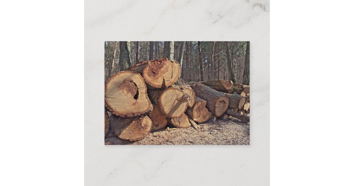 Timber Business card | Zazzle