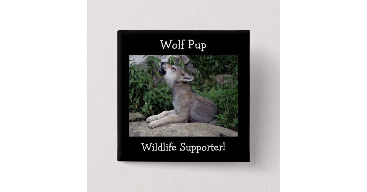 Timber Wolf Pup Grey Wolf Wild Animal Pinback Button | Zazzle