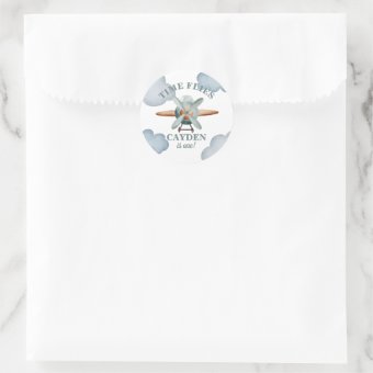 Time Flies Airplane Birthday Classic Round Sticker | Zazzle