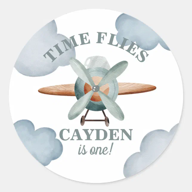 Time Flies Airplane Birthday Classic Round Sticker | Zazzle