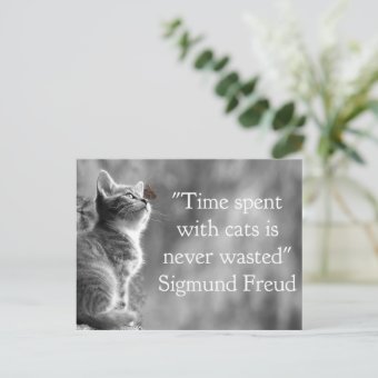 Time Spent with Cats . . . Postcard | Zazzle