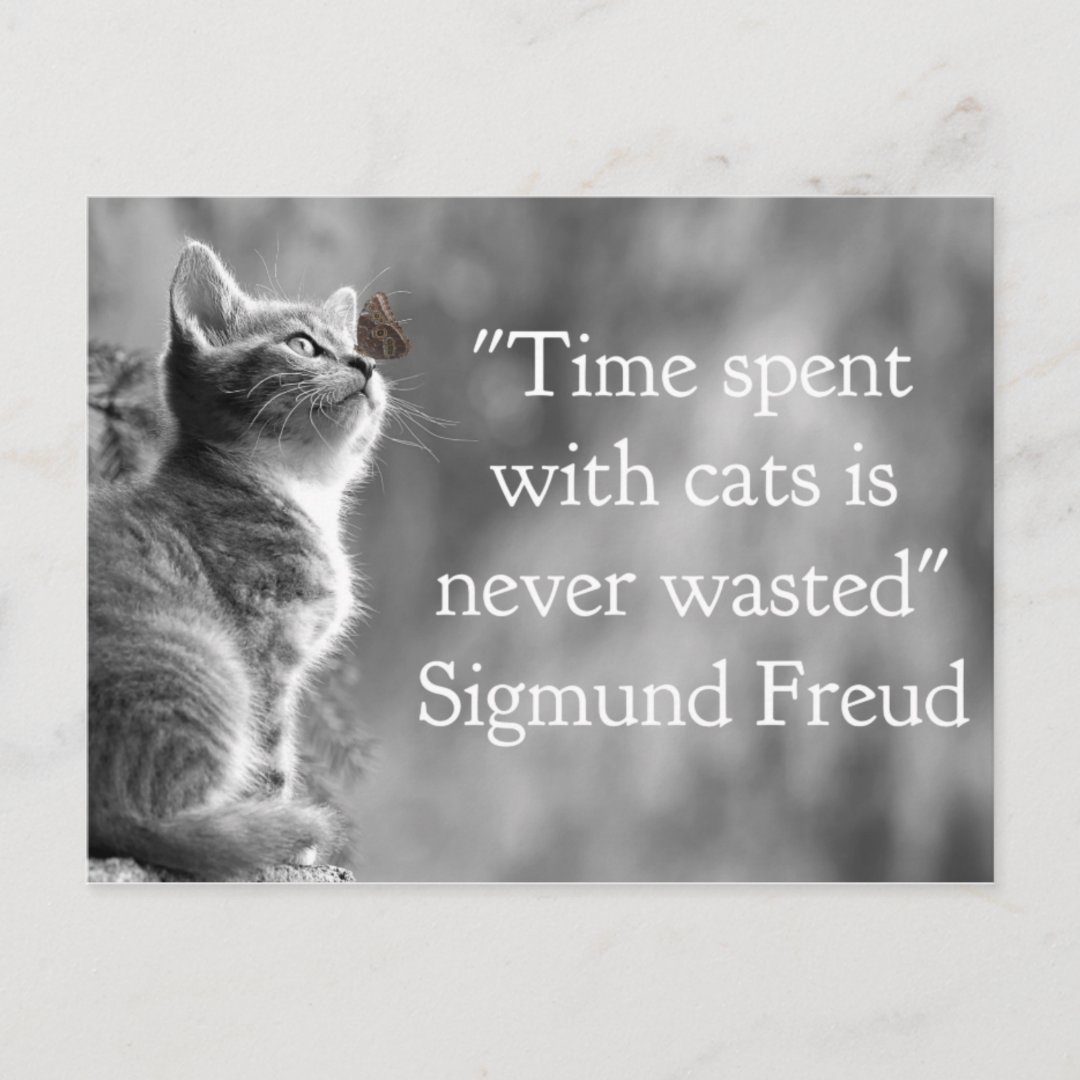 Time Spent with Cats . . . Postcard | Zazzle