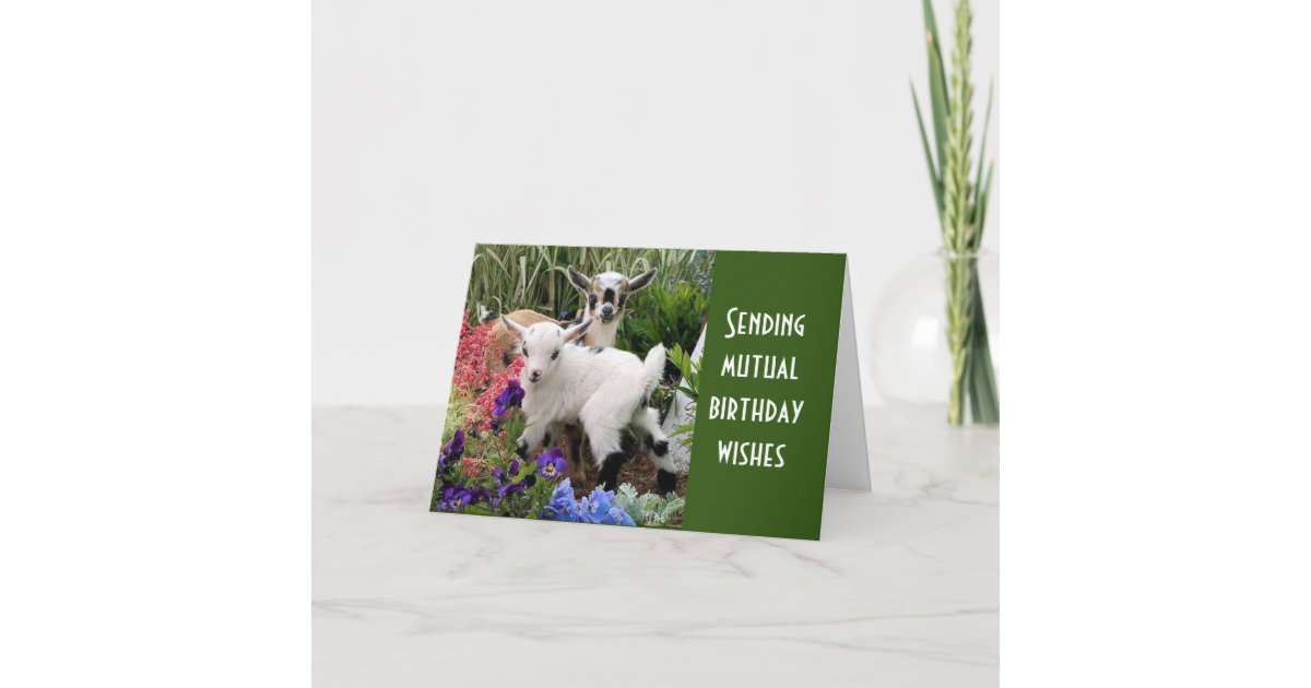 time to CELEBRATE our MUTUAL BIRTHDAY Card | Zazzle