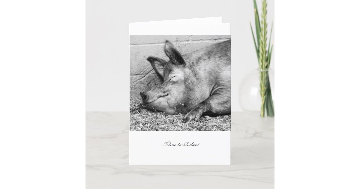 Time to Relax Pig - Blank Retirement Card | Zazzle