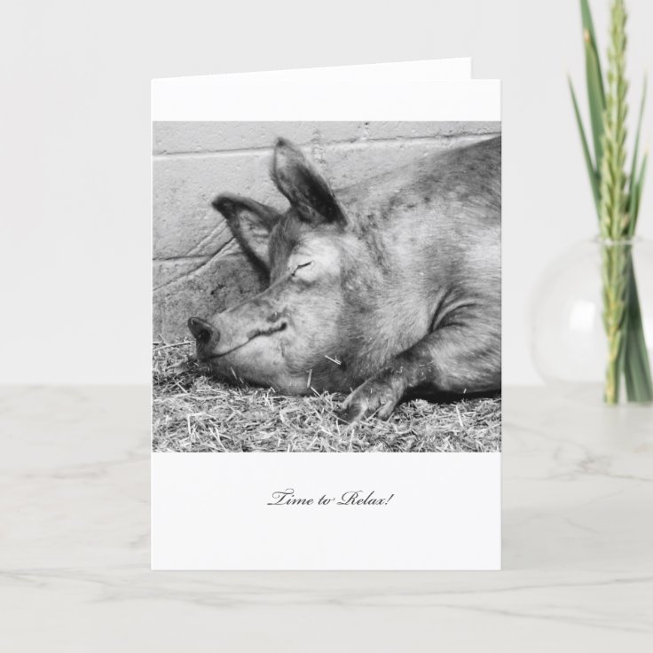 Time to Relax Pig - Blank Retirement Card | Zazzle
