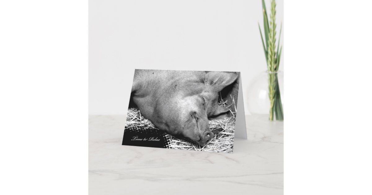 Time to Relax Pig - Blank Retirement Card | Zazzle