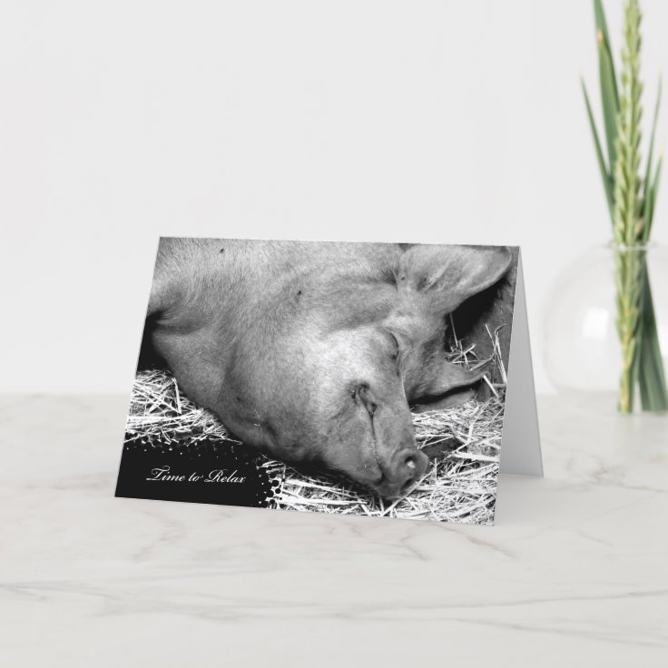 Time to Relax Pig - Blank Retirement Card | Zazzle