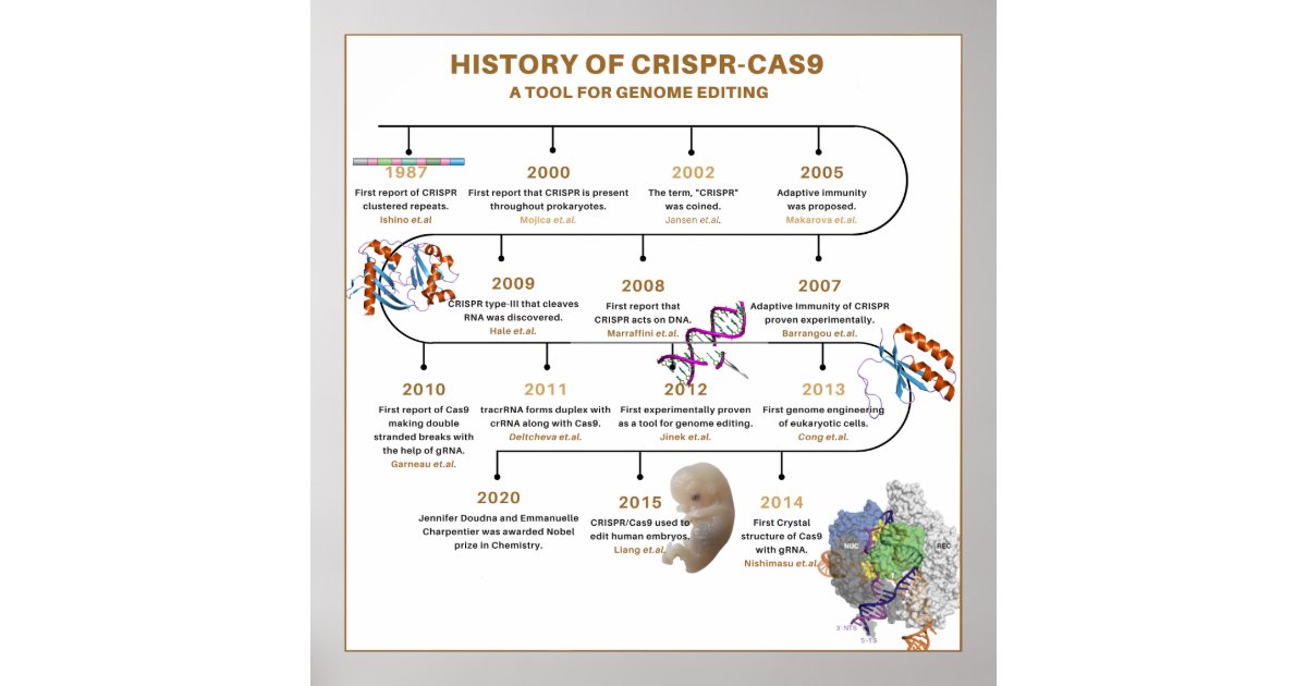 Timeline of CRISPR History Poster | Zazzle