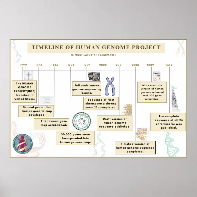 Timeline of human genome project poster | Zazzle