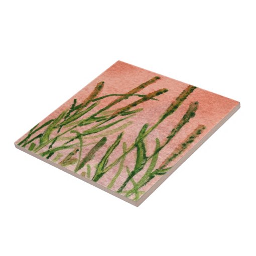 Timothy grass hay close up ceramic tile. ceramic tile | Zazzle