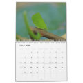 Tiny Wildlife: Insects Calendar | Zazzle