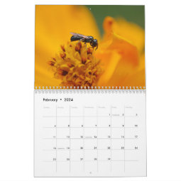 Tiny Wildlife: Insects Calendar | Zazzle